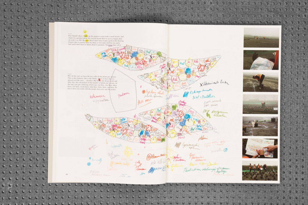 ACCATTONE — ISSUE 6