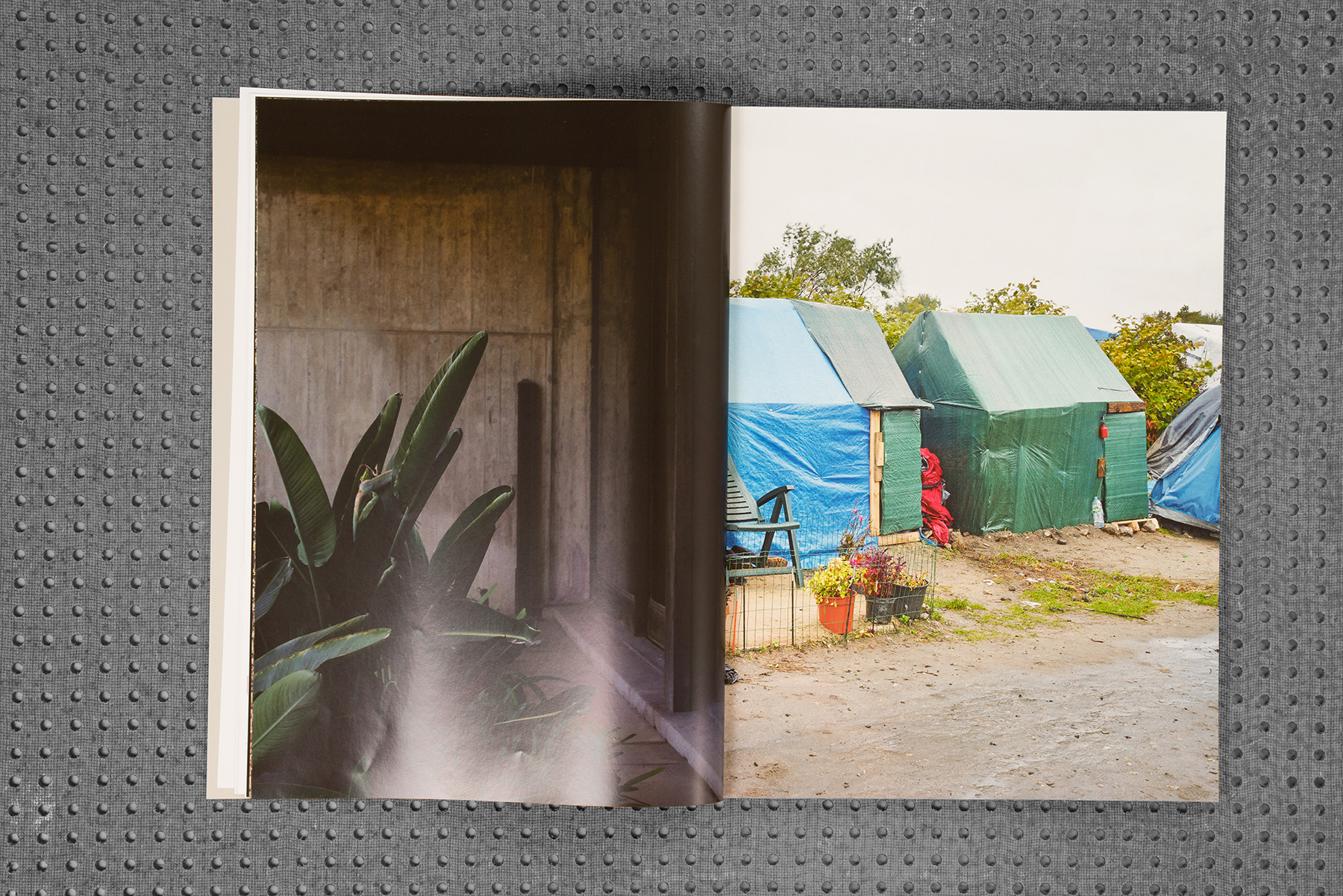 ACCATTONE — ISSUE 6