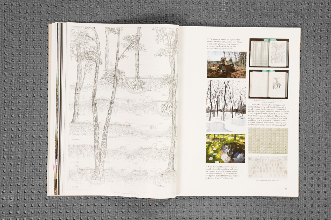 ACCATTONE — ISSUE 6