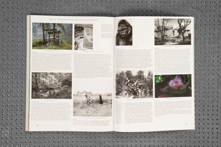 ACCATTONE — ISSUE 6